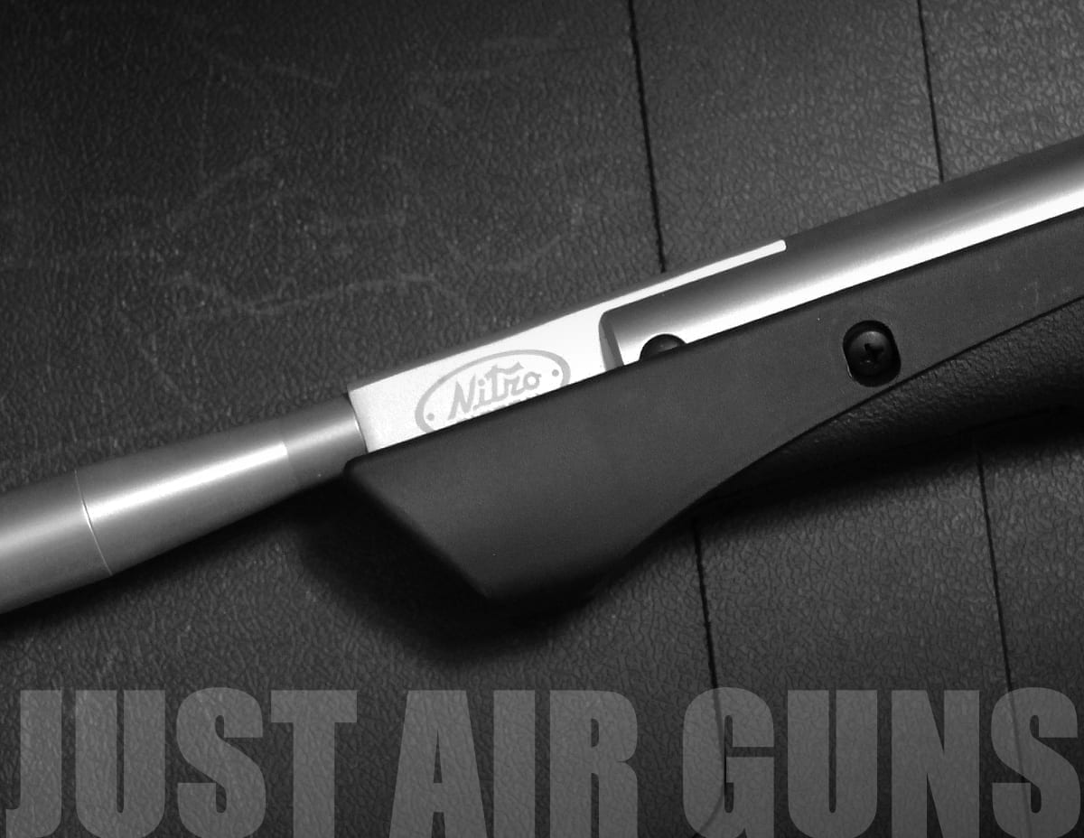 Crosman Silver Fox NP .22 Air Rifle - Just Air Guns