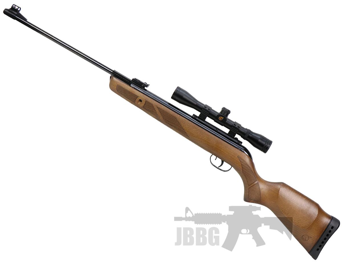 Gamo Hunter 440 Air Rifle .22 with Scope