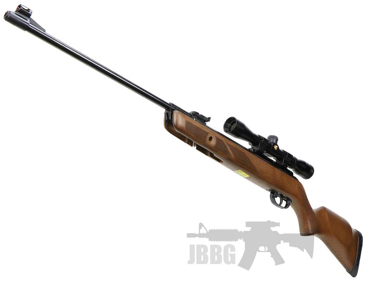Gamo Hunter 440 Air Rifle .22 with Scope