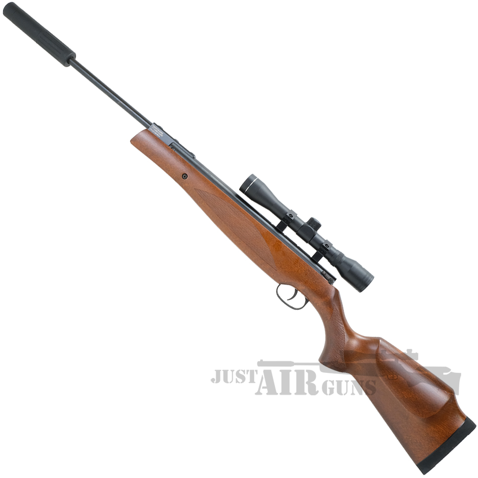 Remington Sabre Air Rifle 22 with Scope