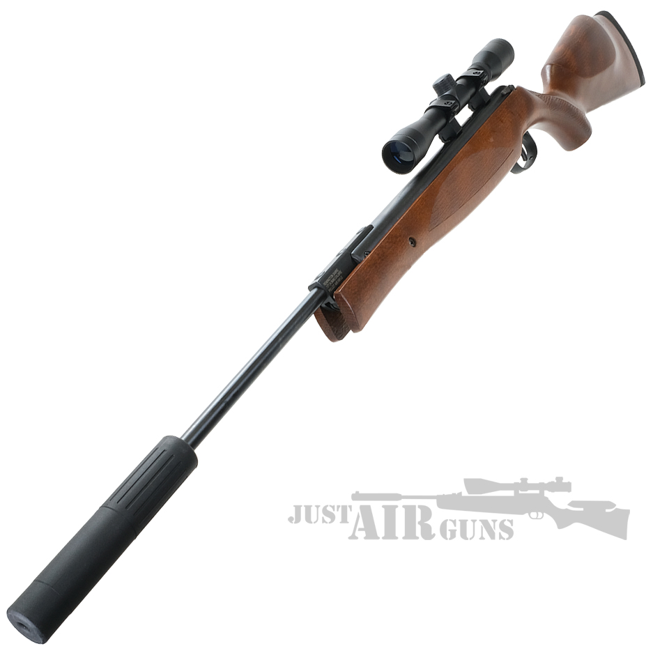Remington Sabre Air Rifle 22 with Scope