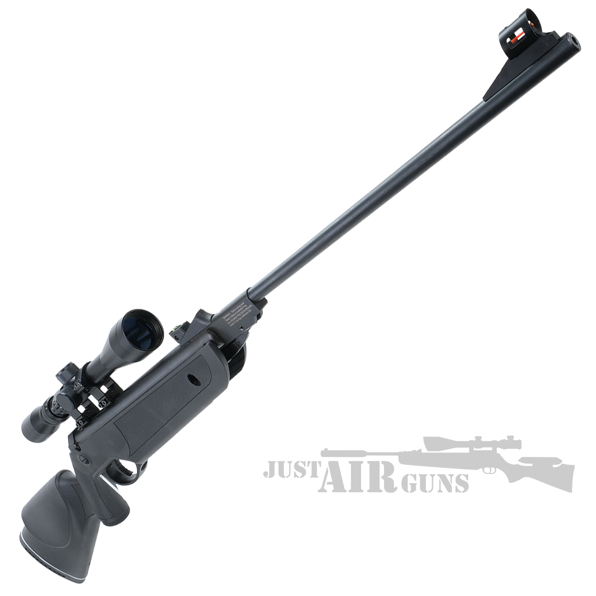 Beeman Black Cub 1022 Air Rifle Dual Calibre - Just Air Guns