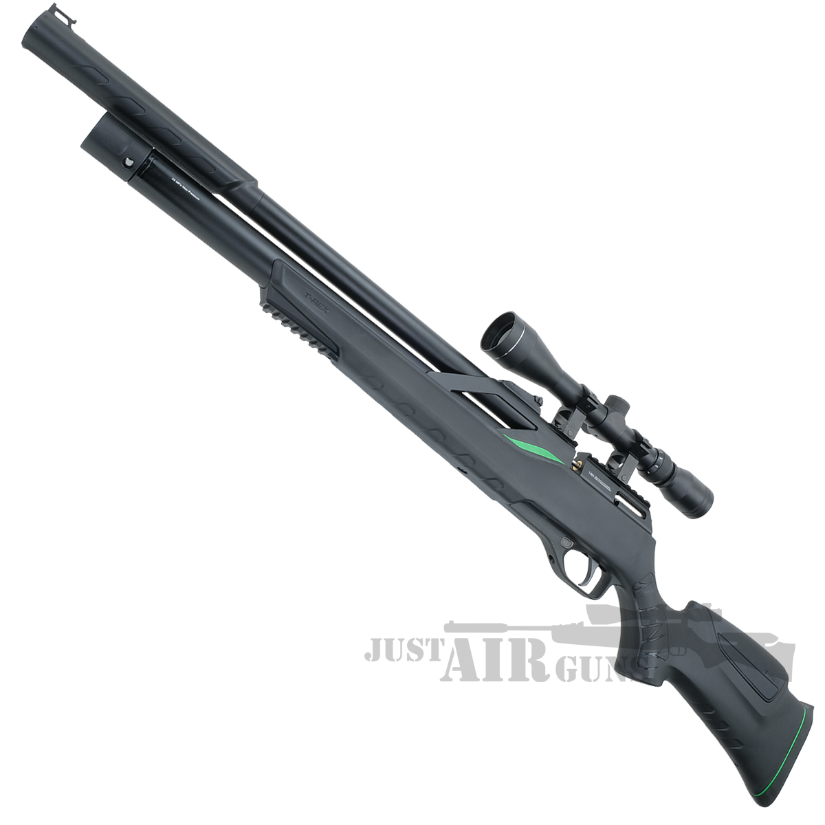 Remington Air Rifles – WTQM