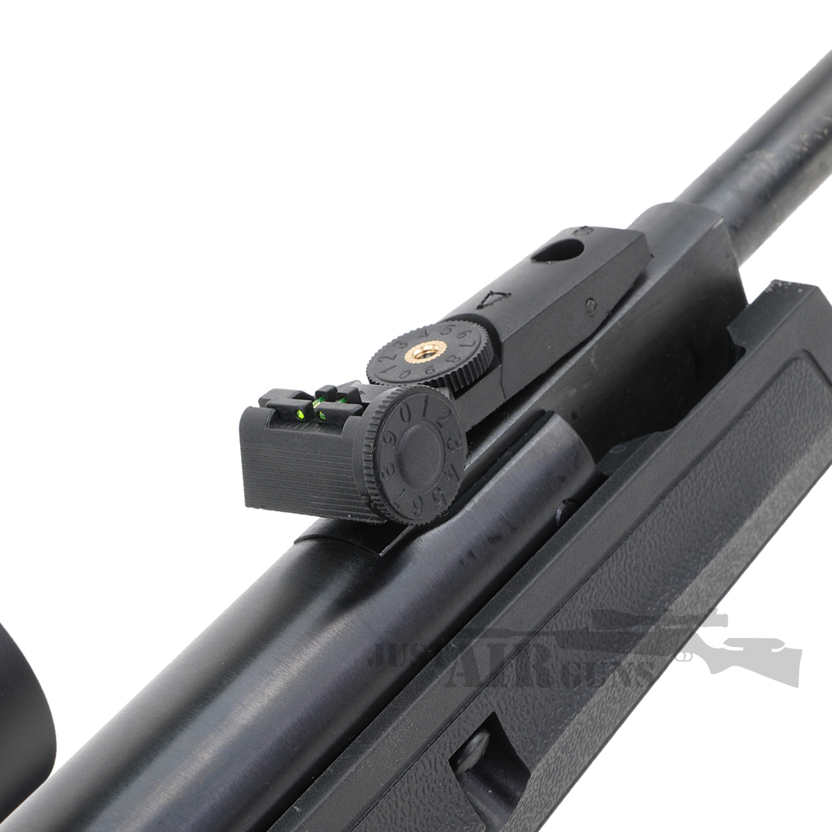 Remington T-Rex Scavenger Gas Ram Air Rifle with Scope .22